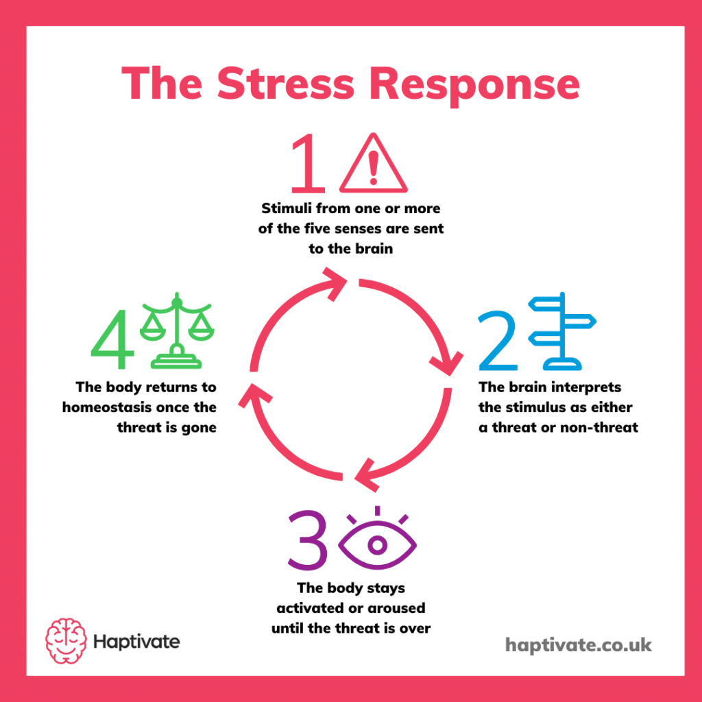 Navigating Workplace Transitions: How to Prepare for Change as a Team ...